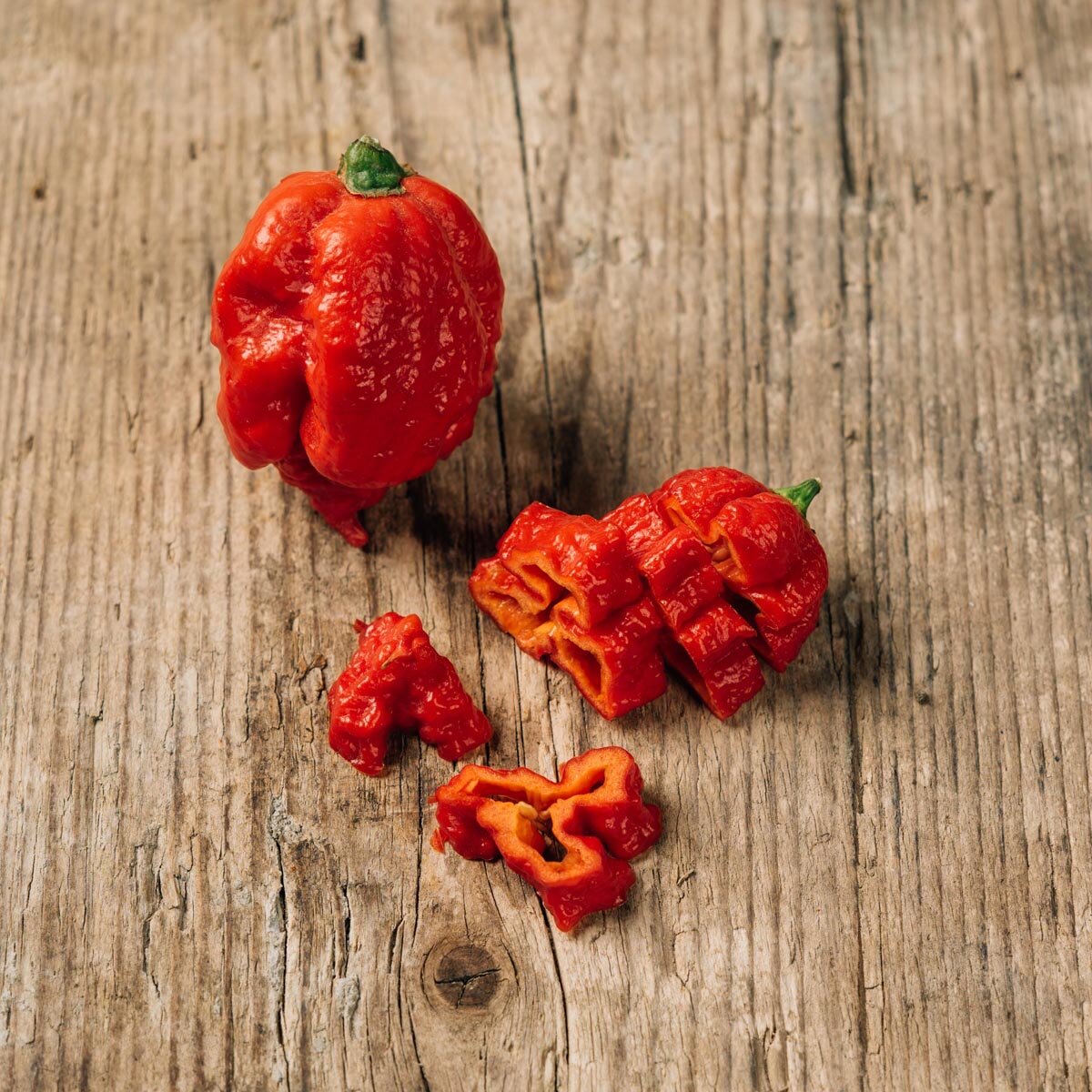 Chili peper 'Carolina Reaper' (Capsicum chinense)