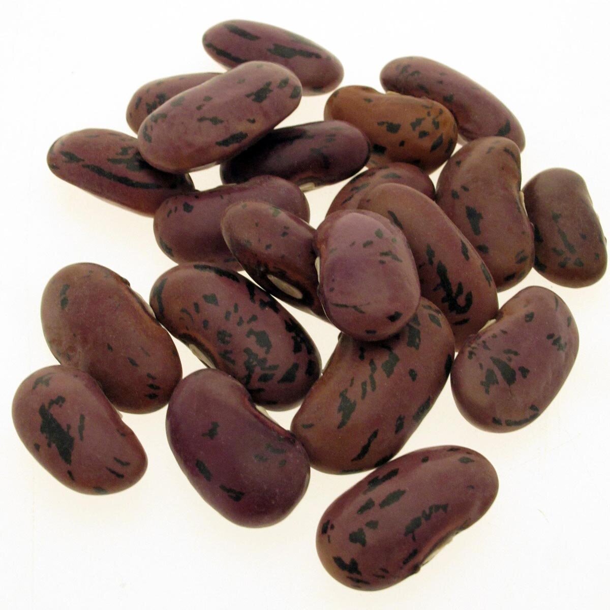 Pronkboon 'Prijswinnaar' (Phaseolus coccineus) zaden
