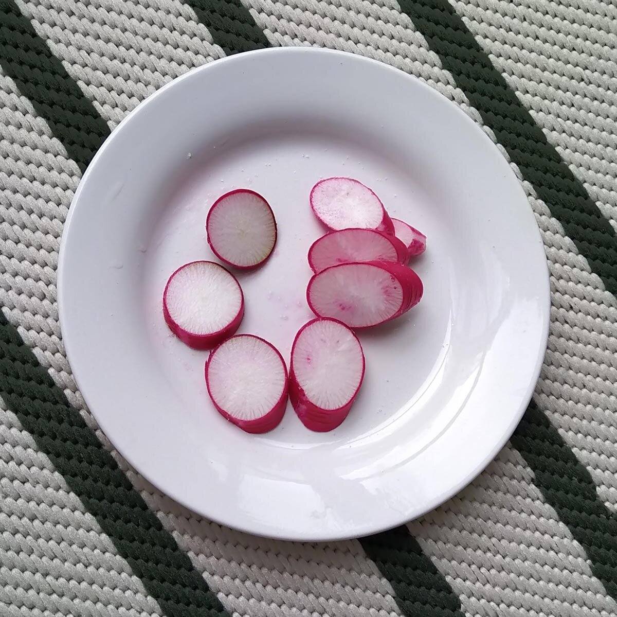 Rettich 'Paasgroet' (Raphanus sativus) zaden