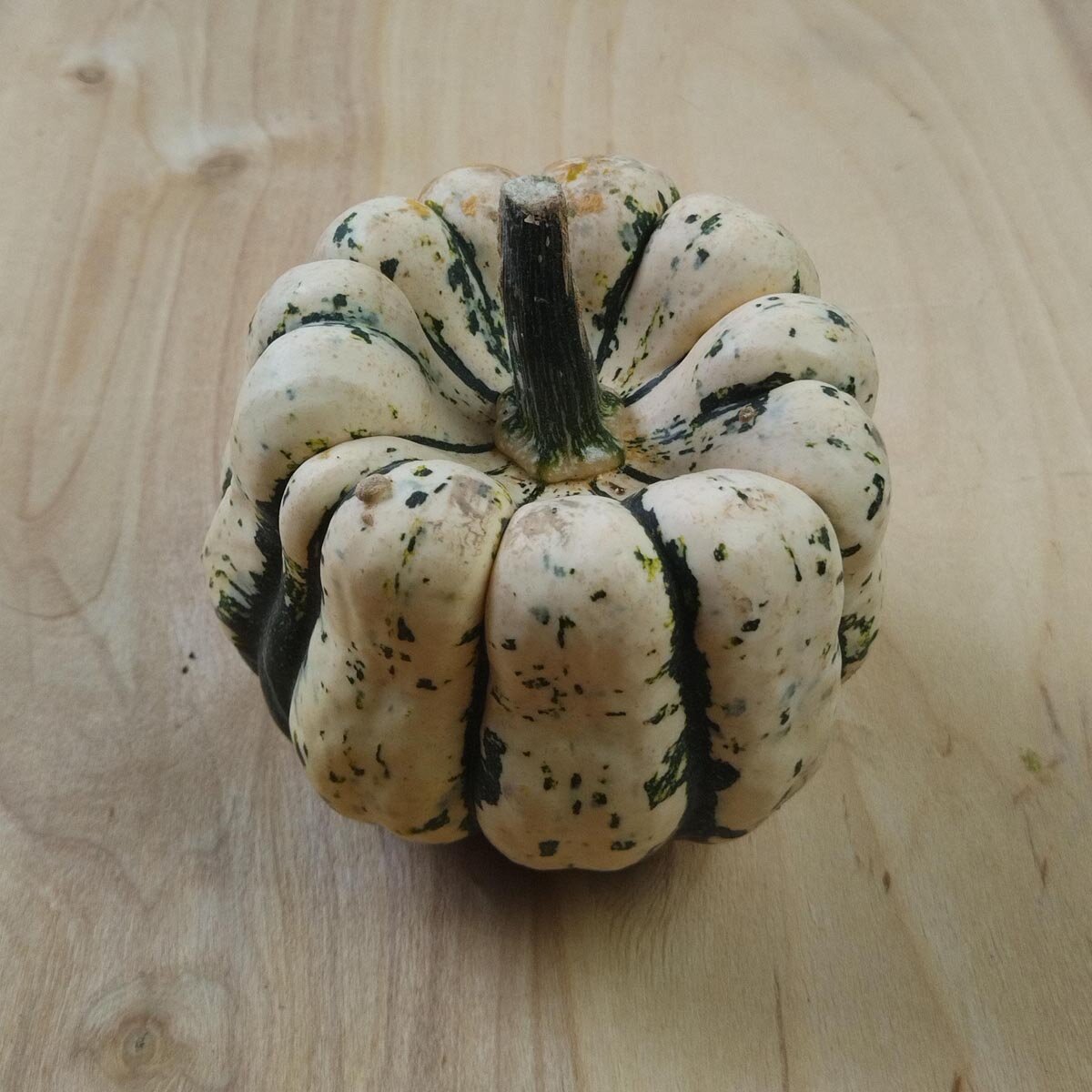 Klimpompoen 'Sweet Dumpling' (Cucurbita pepo) zaden