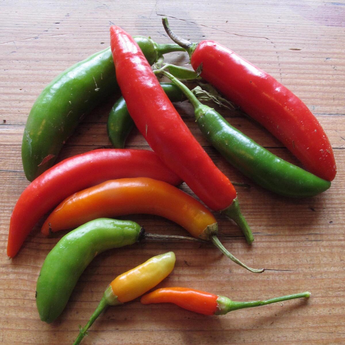 Chili 'Tabasco' (Capsicum frutescens) - ca. 10 zaden