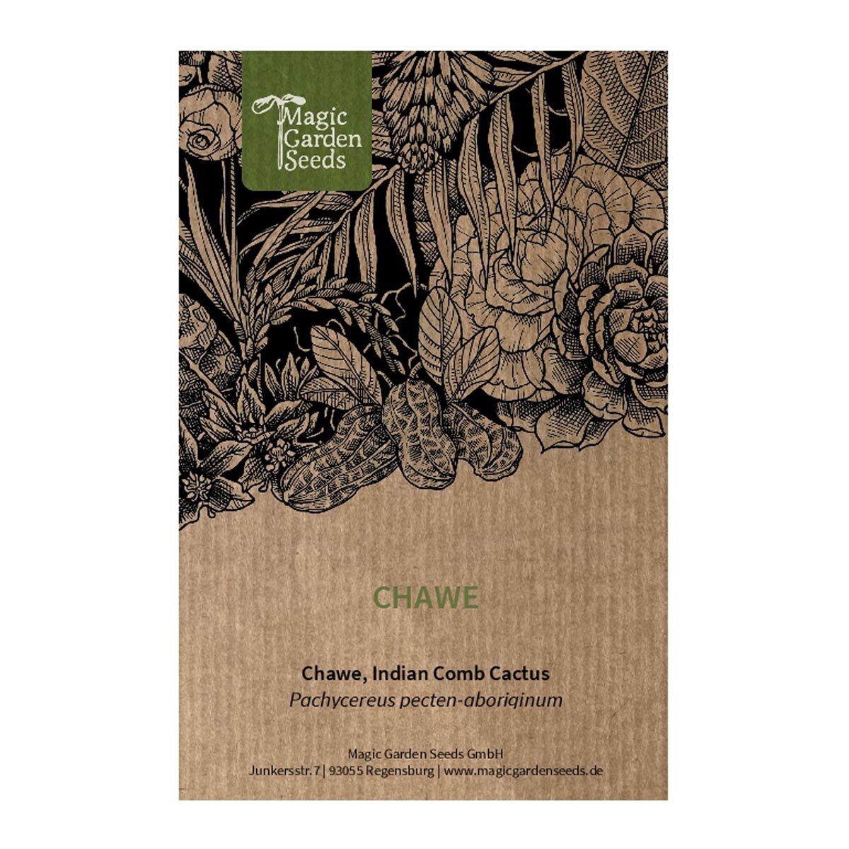 Chawe (Pachycereus pecten-aboriginum)