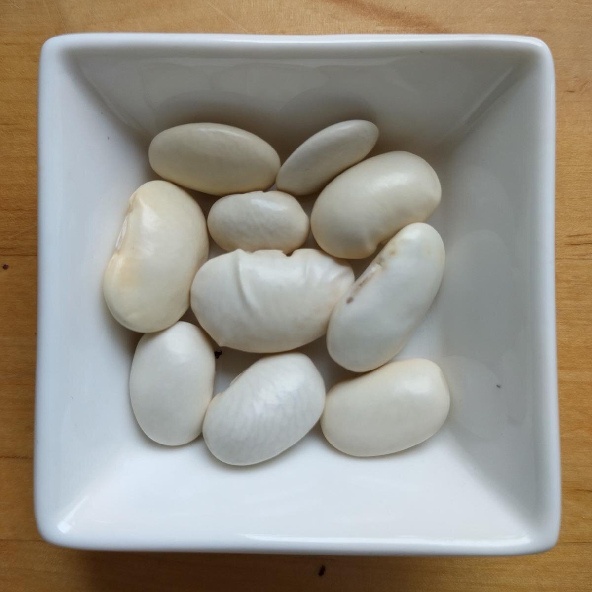 Griekse reuzenbonen 'Gigantes' (Phaseolus coccineus) zaden