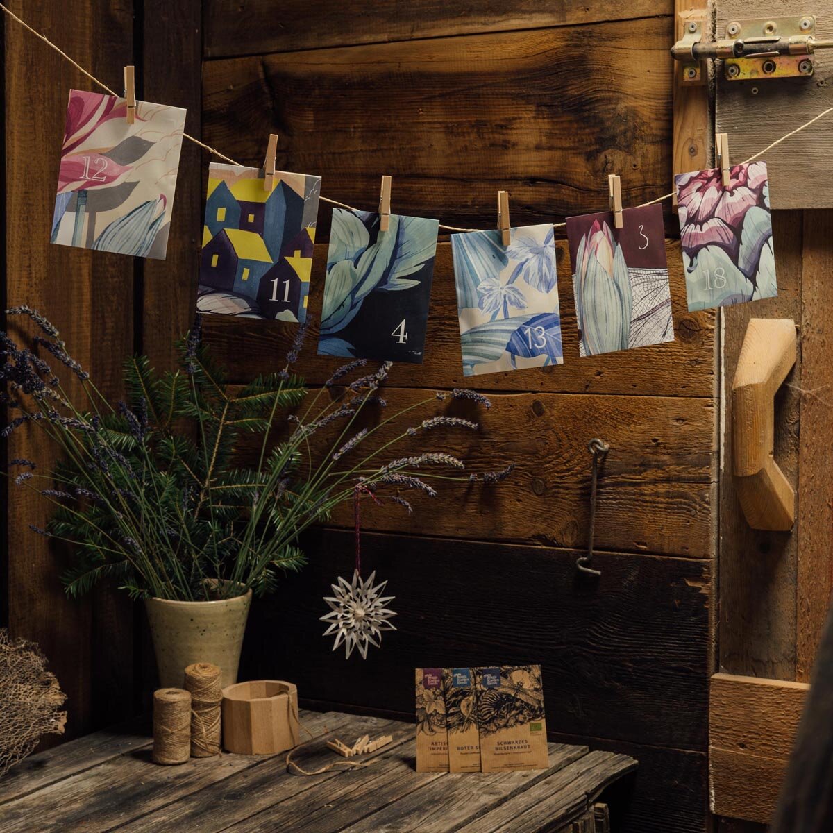 Adventskalender stedelijk tuinplezier | Magic Garden Seeds